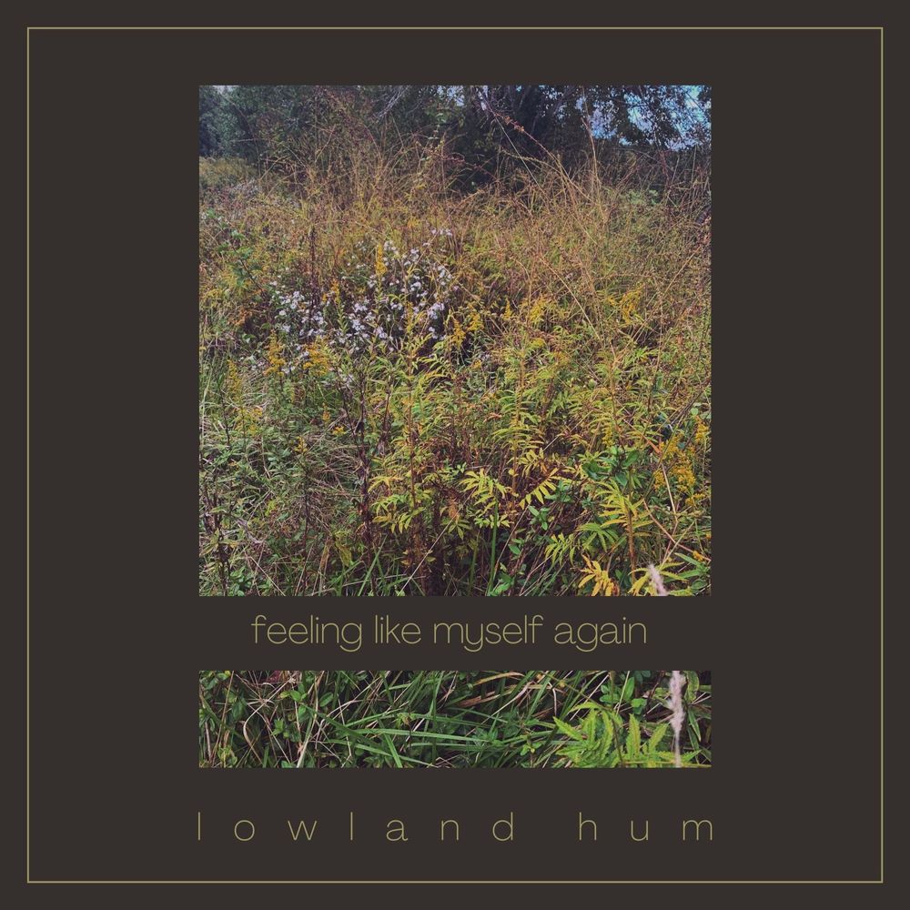 Lowland Hum