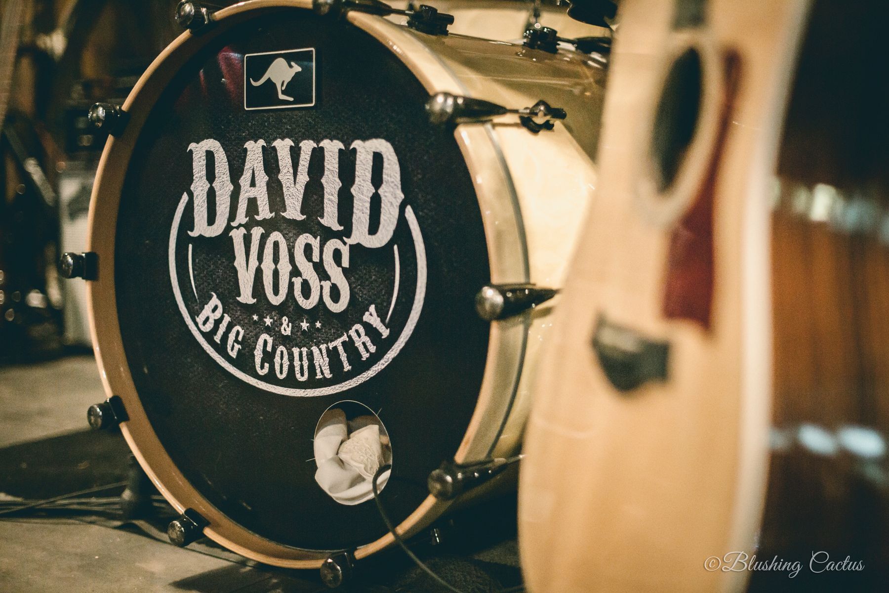 David Voss & Big Country