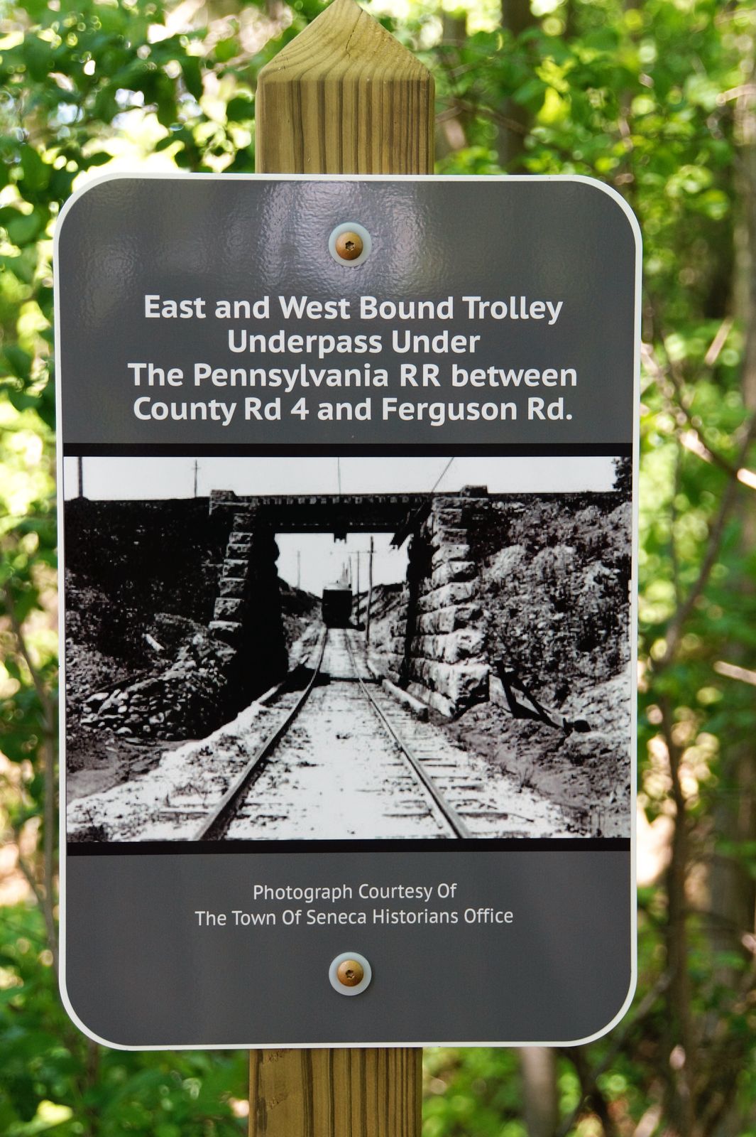 Ontario Pathways - Gallery