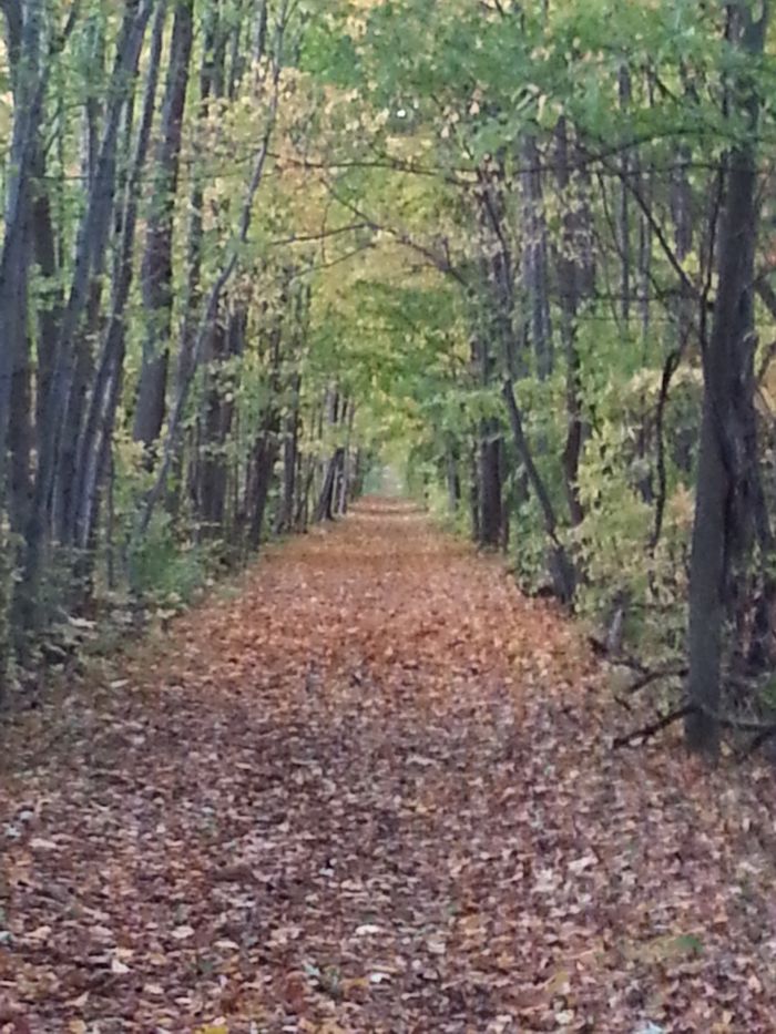Ontario Pathways