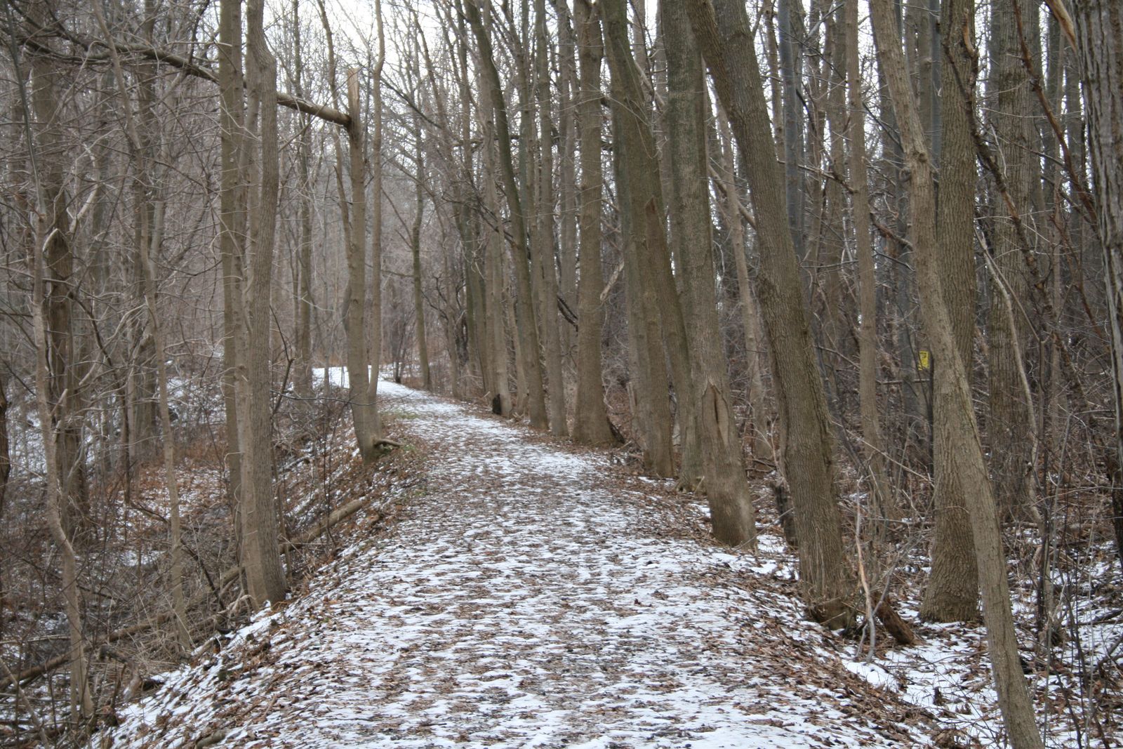 Ontario Pathways - Gallery