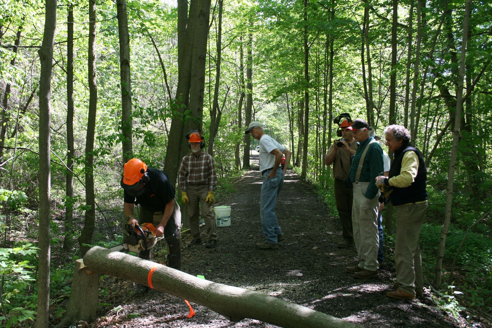 Ontario Pathways - Gallery