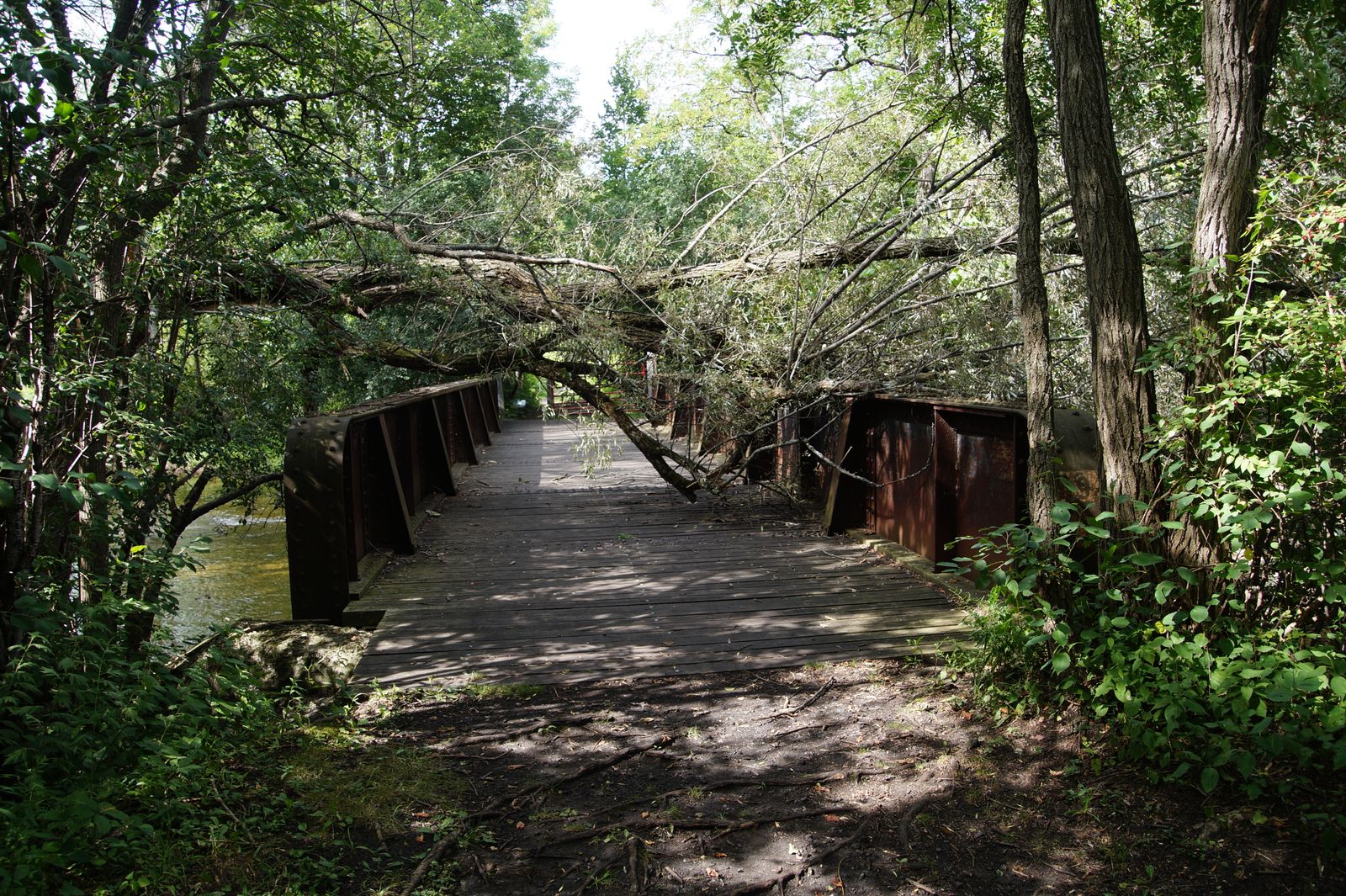 Ontario Pathways - Gallery