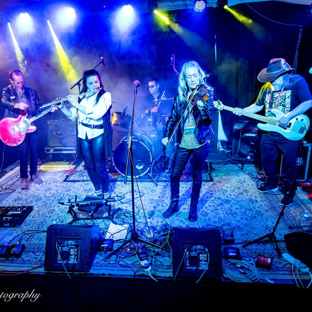 A New Day Festival - Artists