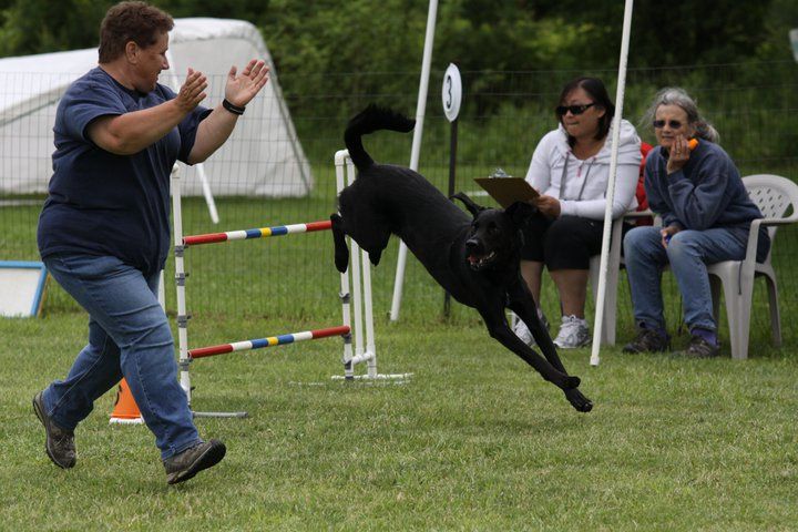 Dogs On Campus - Campus Crew