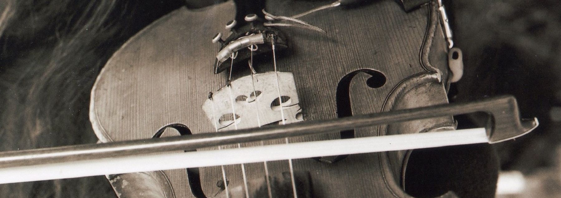 Annie Staninec | About Annie