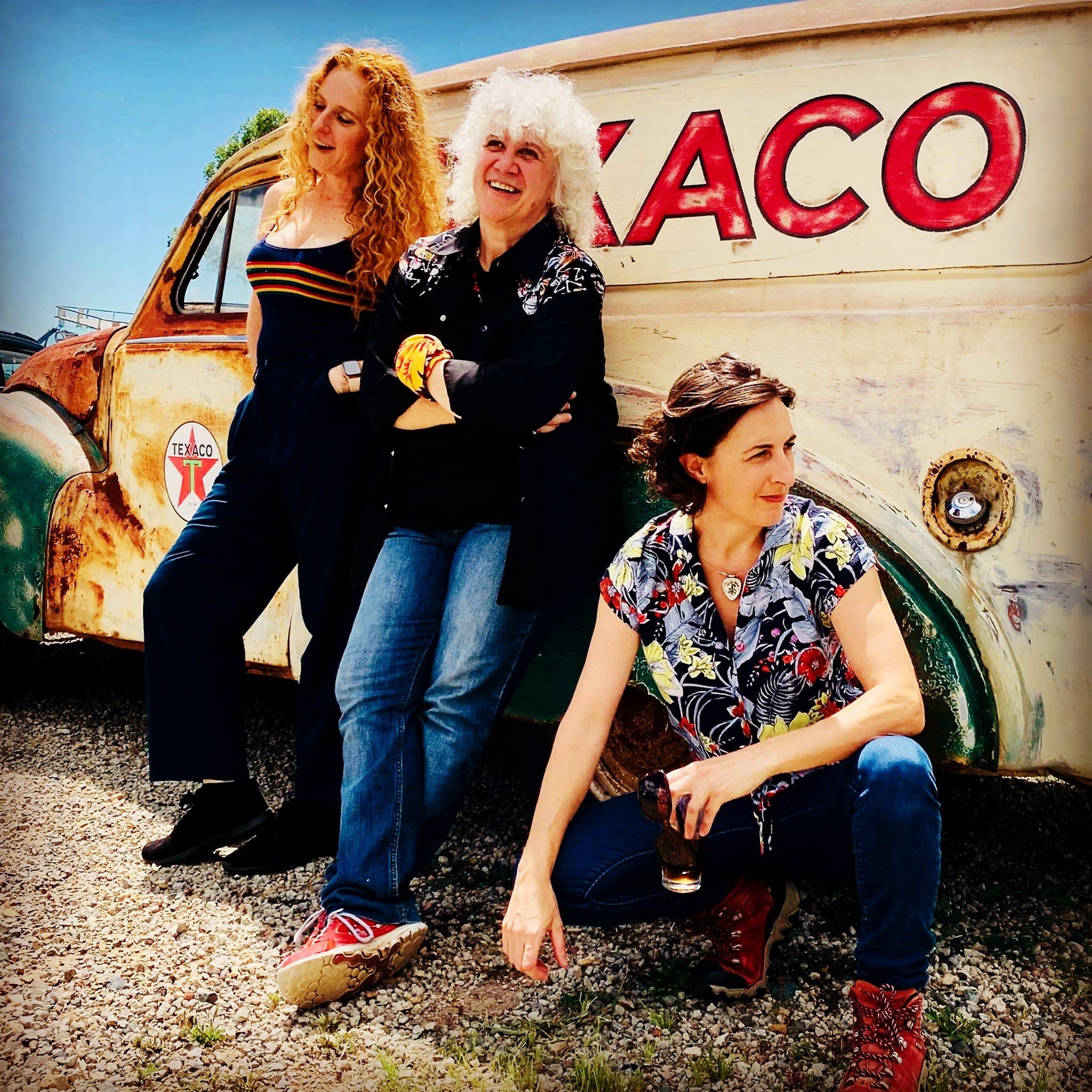 Vix and the Slick Chix - Bio