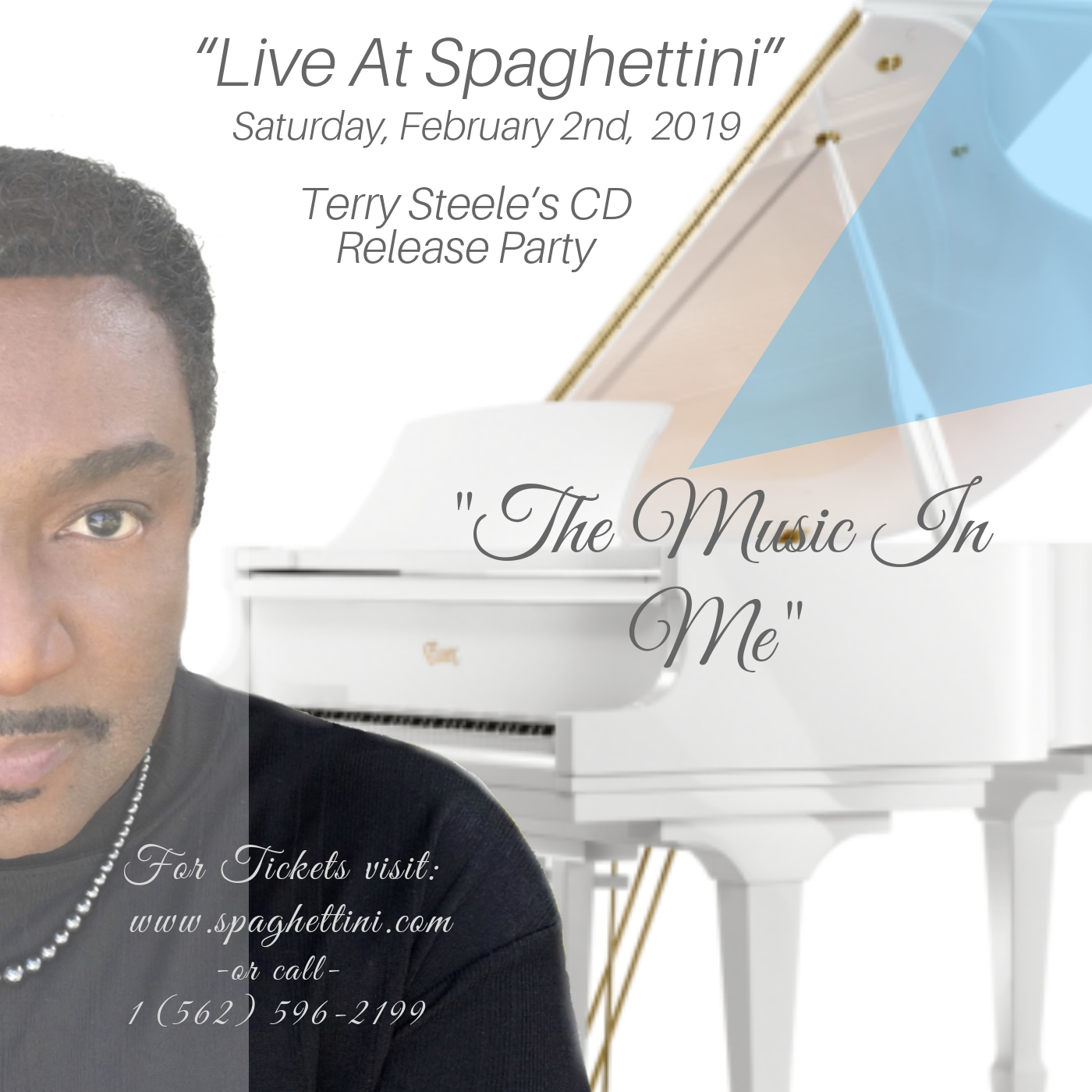 Terry Steele Music