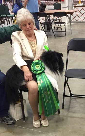 WEIS SHELTIES - Walker's Page
