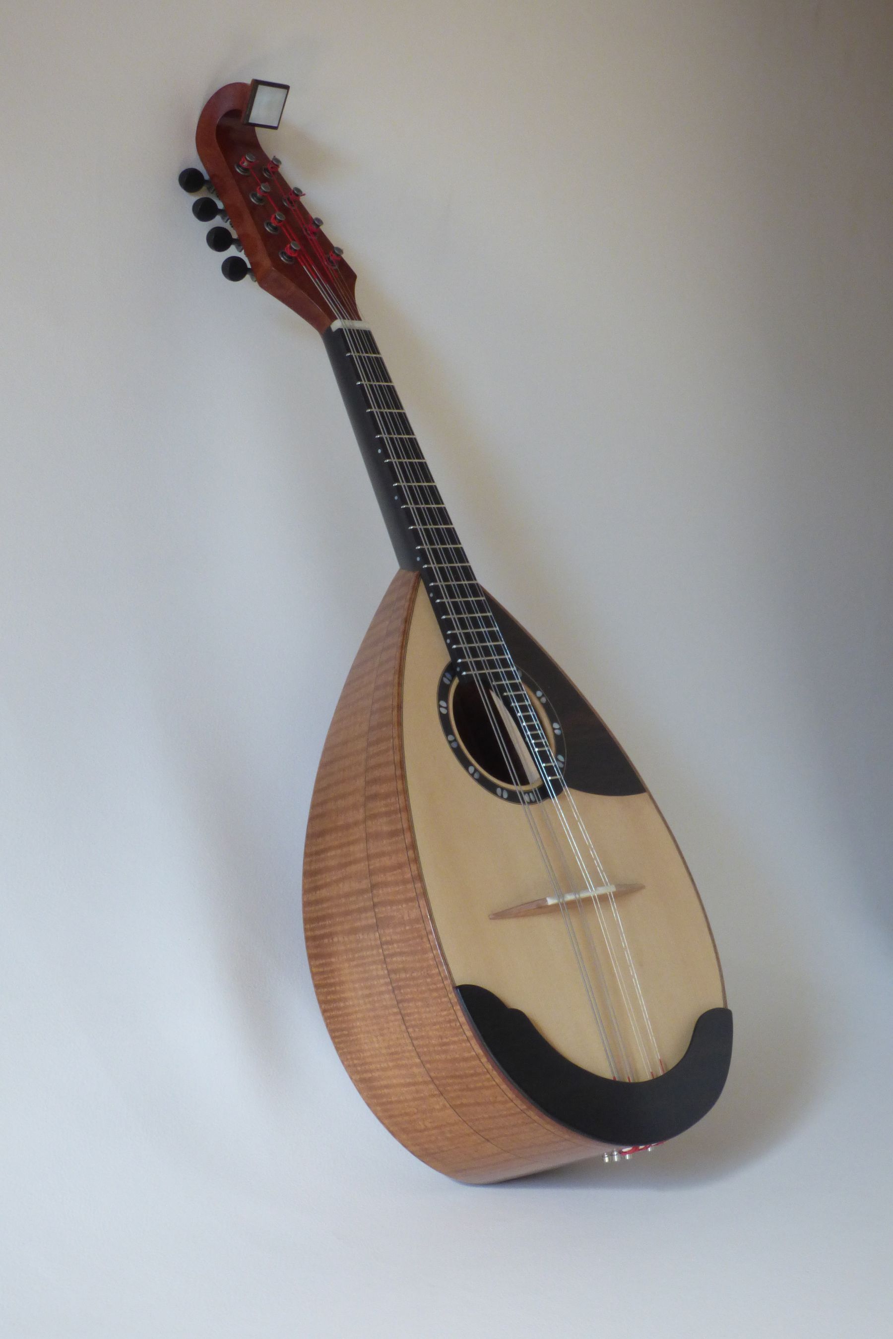 Carlo Aonzo - Il Mandolino Perfetto