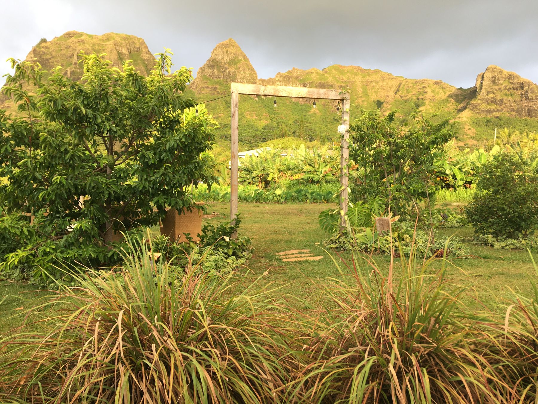 The Homestead Kaua’i