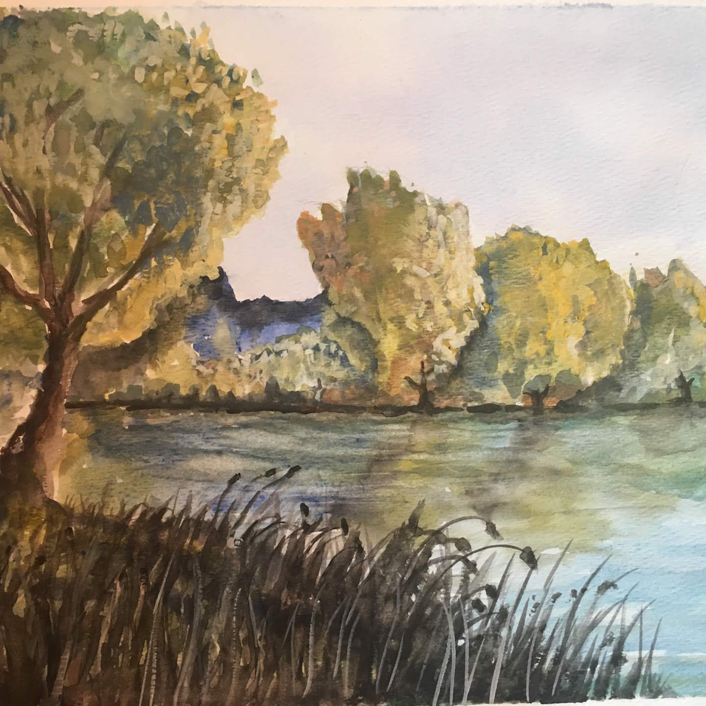 Sarah Kathleen Wilcox