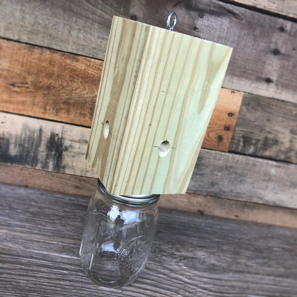 Building A Simple Affordable Carpenter Bee Trap
