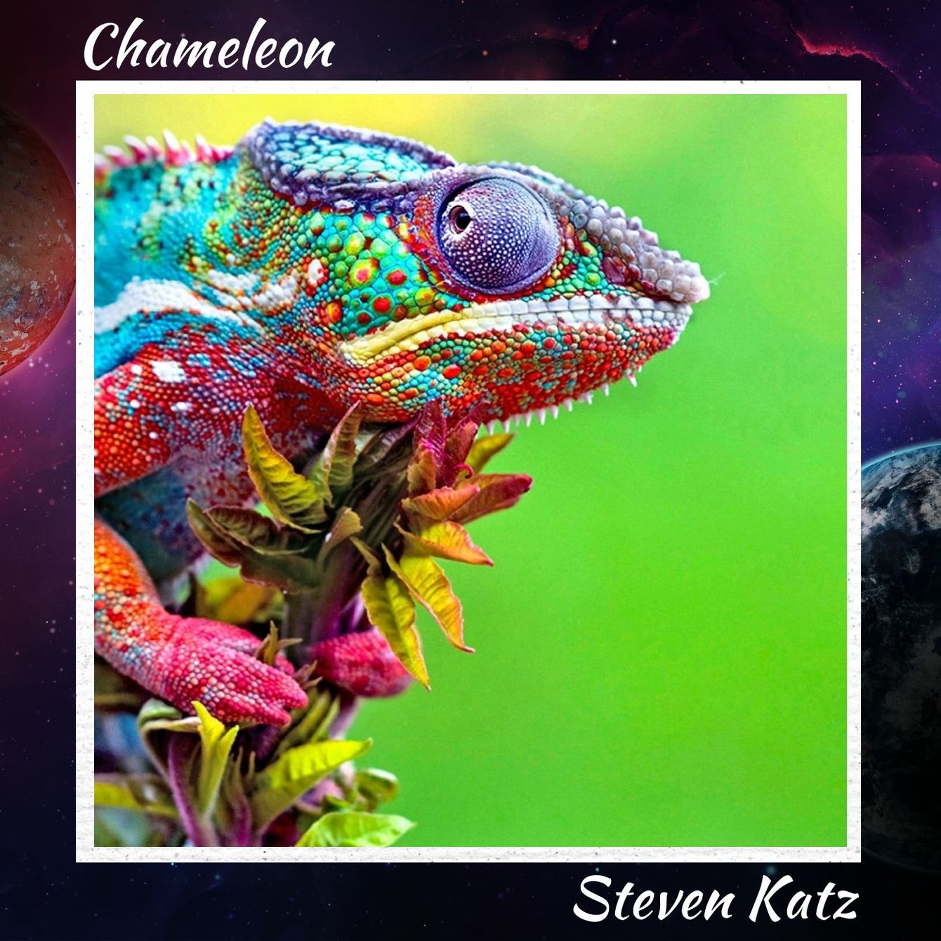 Steven Katz