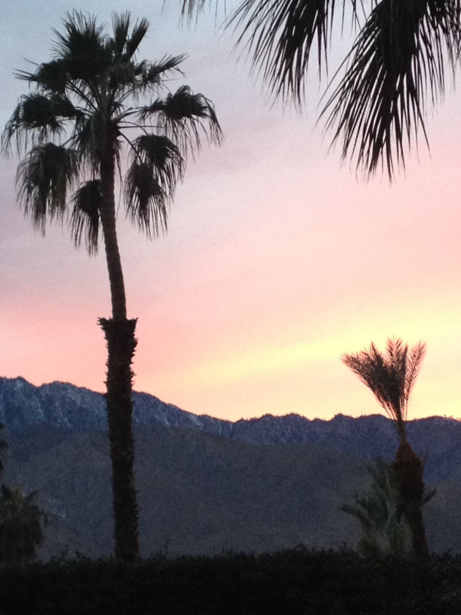 Jay Semko - Photo Gallery