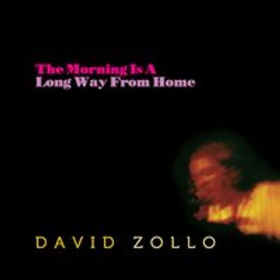 David Zollo & The Body Electric