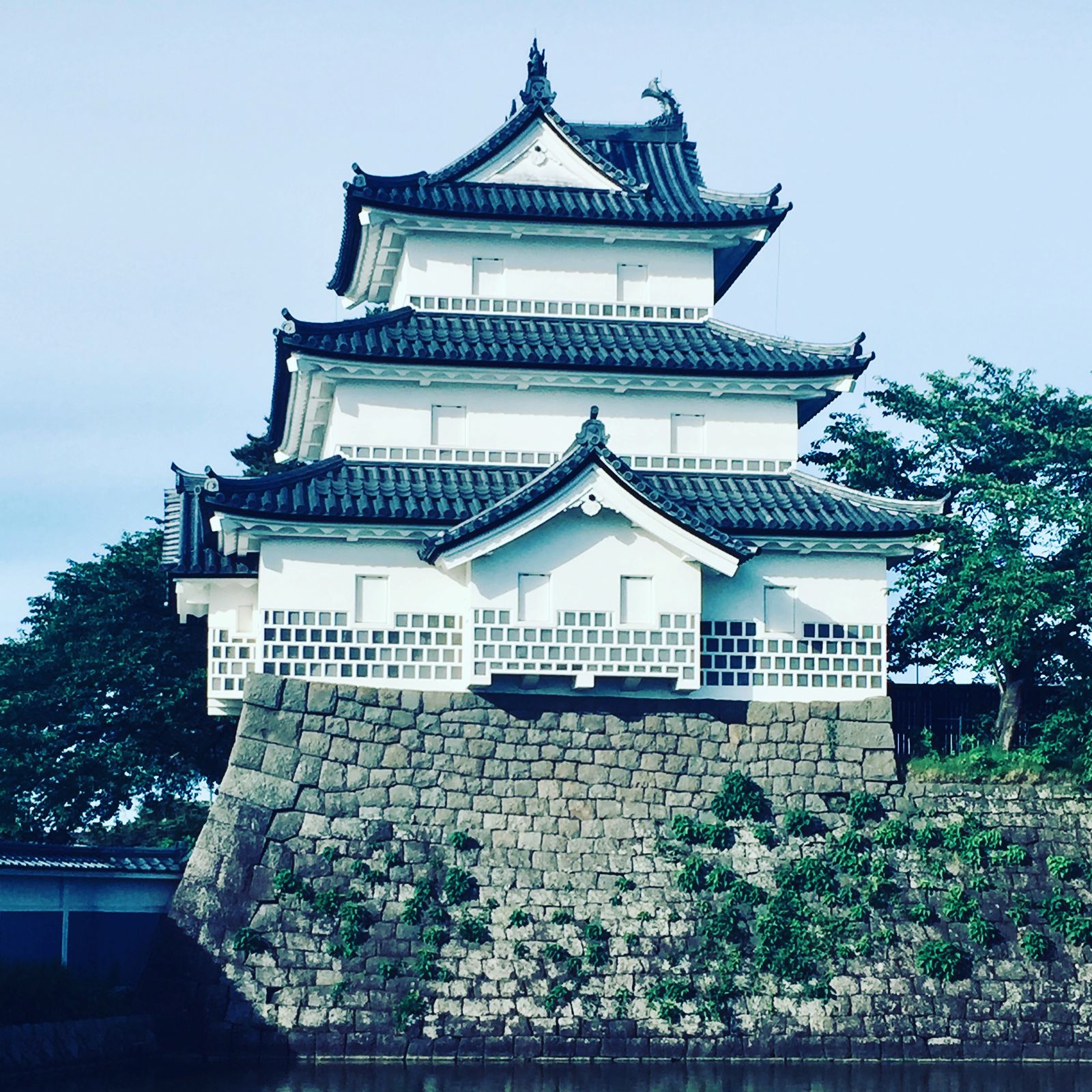 CHIAIS WEB - Tour of 100 famous Japanese castles