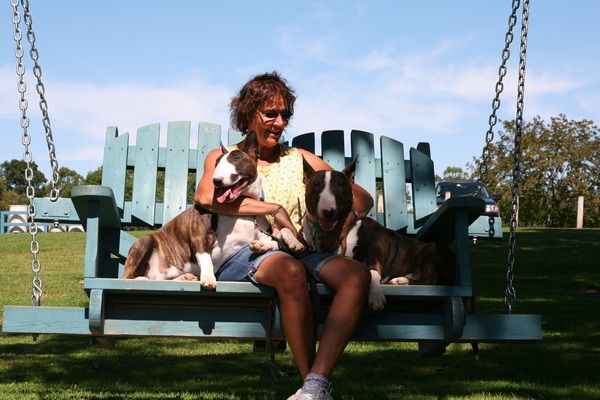 Bullyhill Bull Terriers,Northern Georgia - Bullyhill Photos