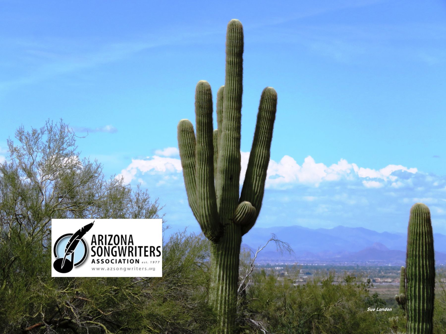 Arizona Songwriters Association - Join