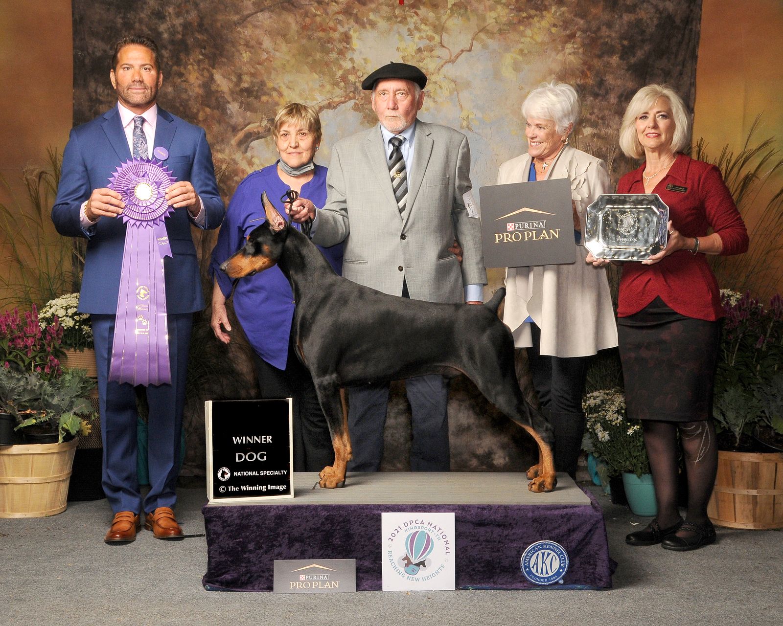 Notori Dobermans - About Us