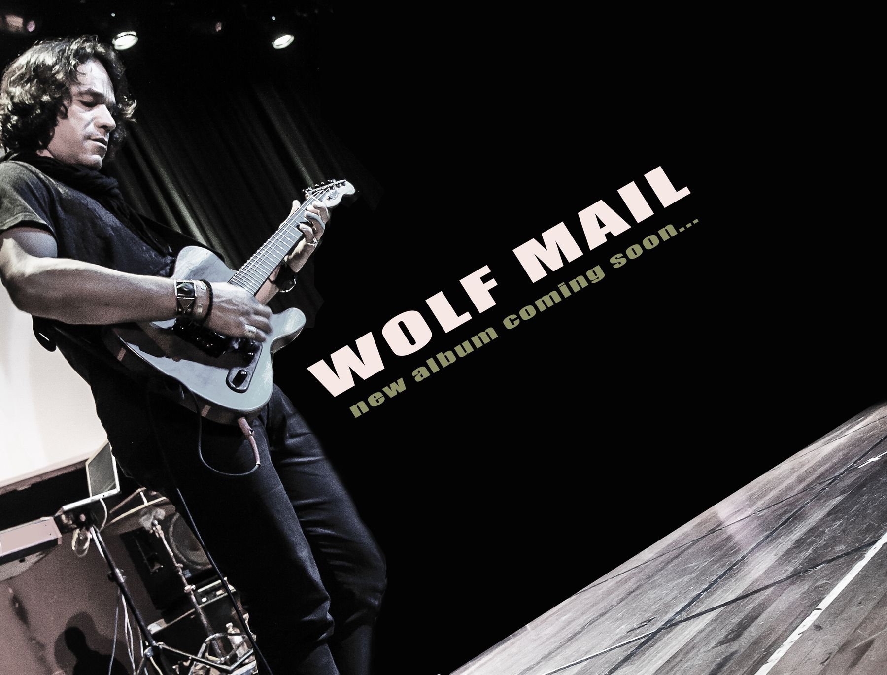 Home [www.wolf-mail.com]