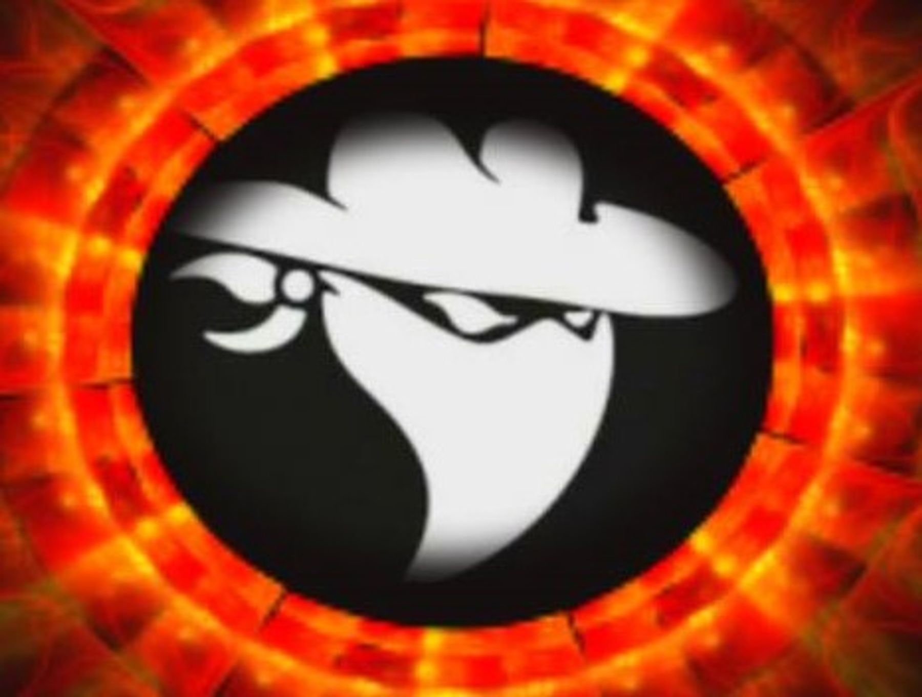Outlaw Shine