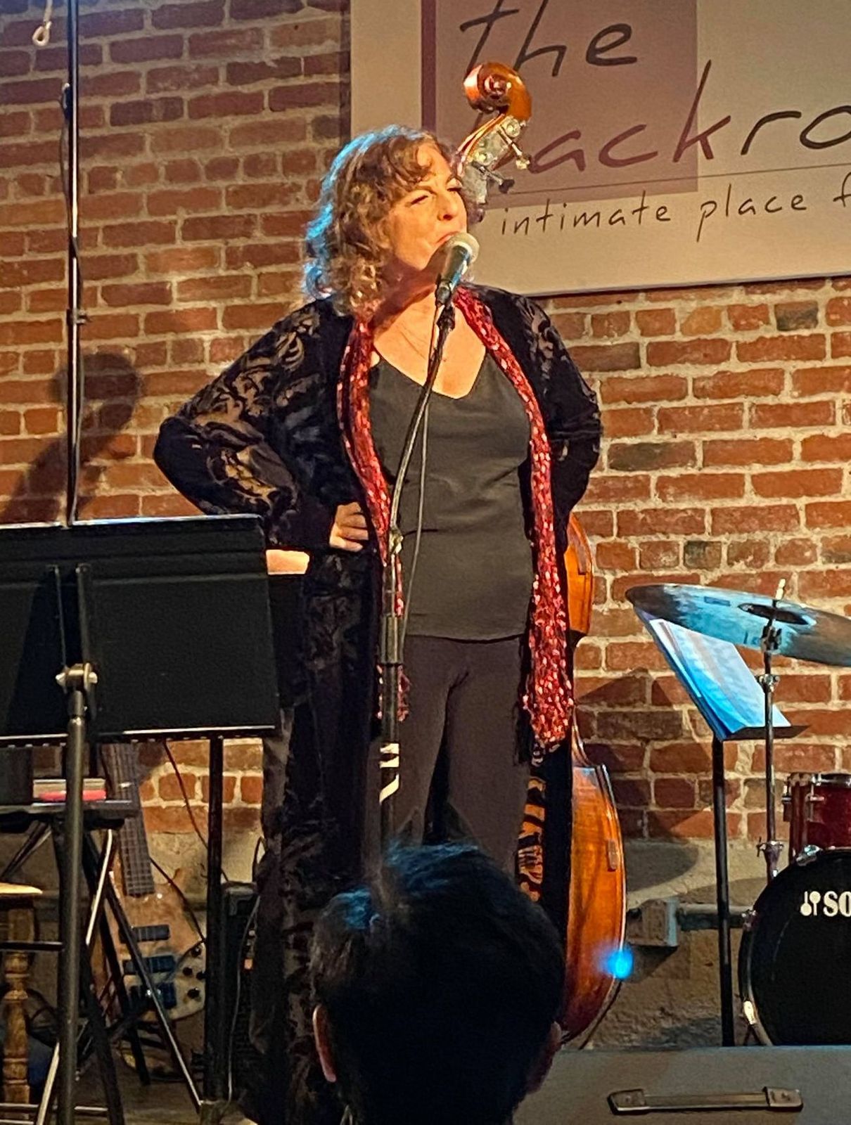 Singer-Poet Lisa B (Lisa Bernstein)