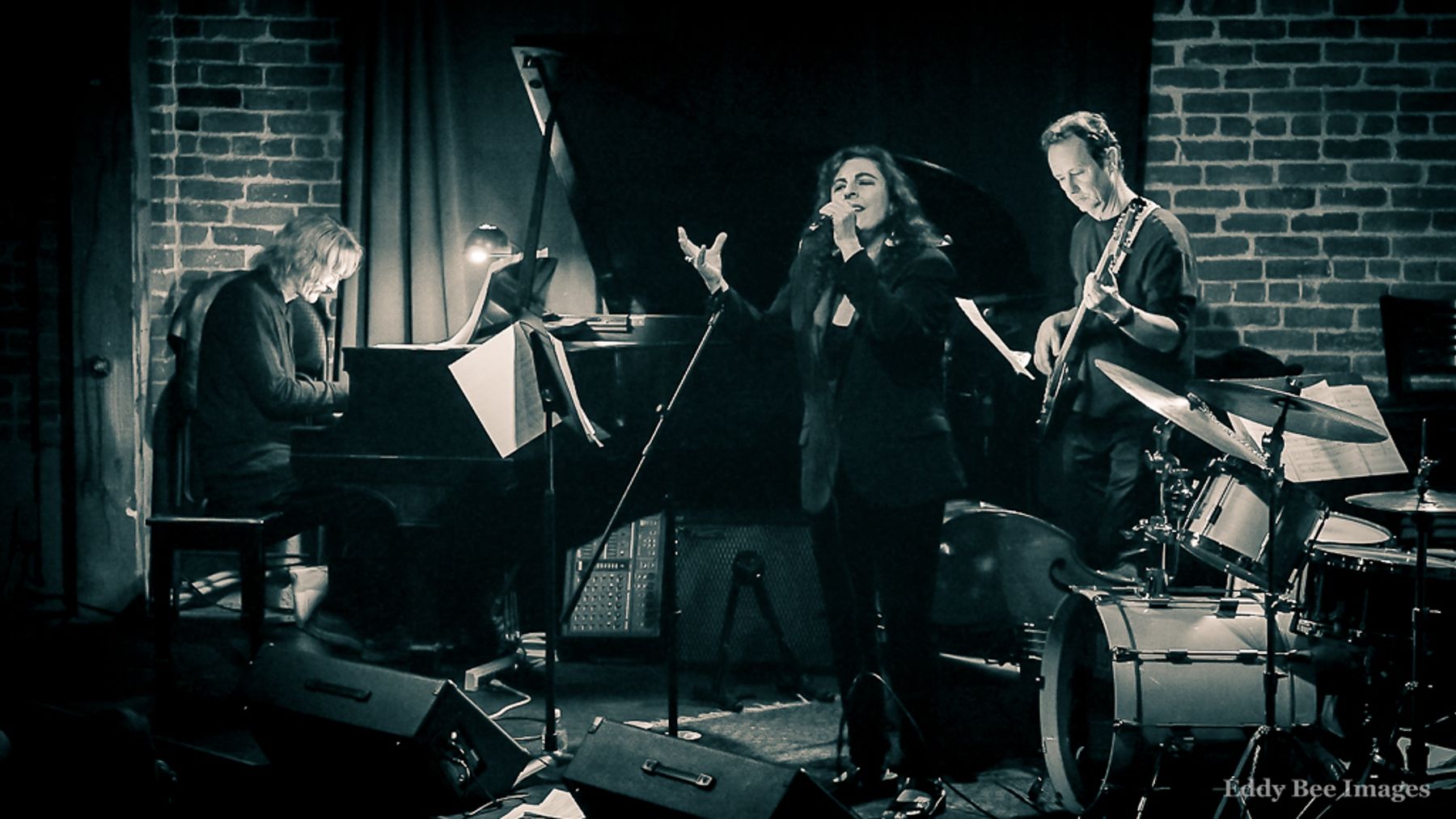 Singer-Poet Lisa B (Lisa Bernstein)