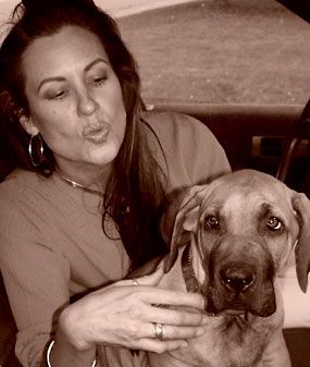 Trish Hatley - Gallery