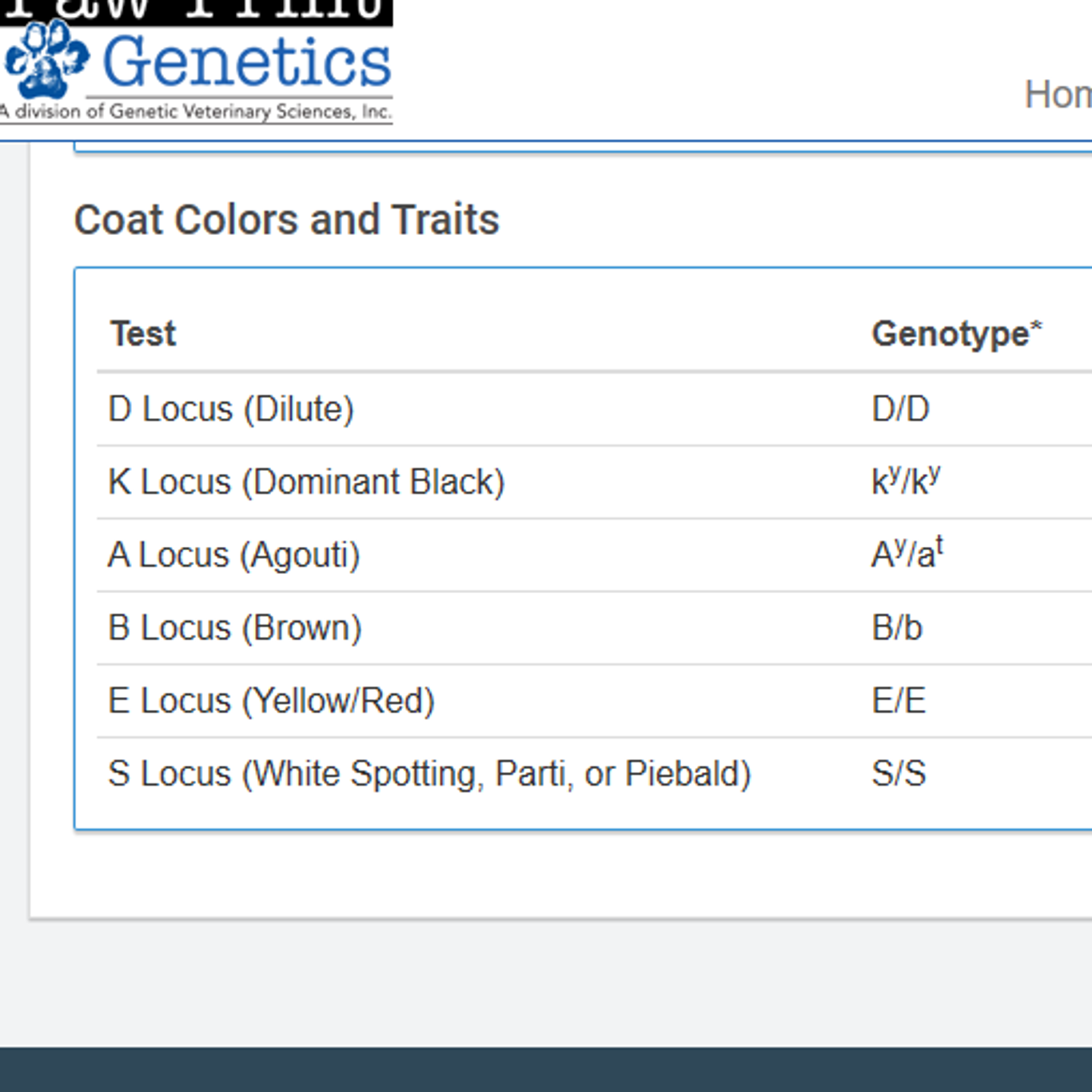 Alue Standard Poodles - Multi Colors