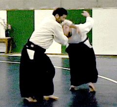 Aikidosphere - Sugano Sensei's profile