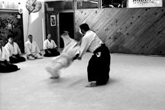 Aikidosphere - Sugano Sensei's profile