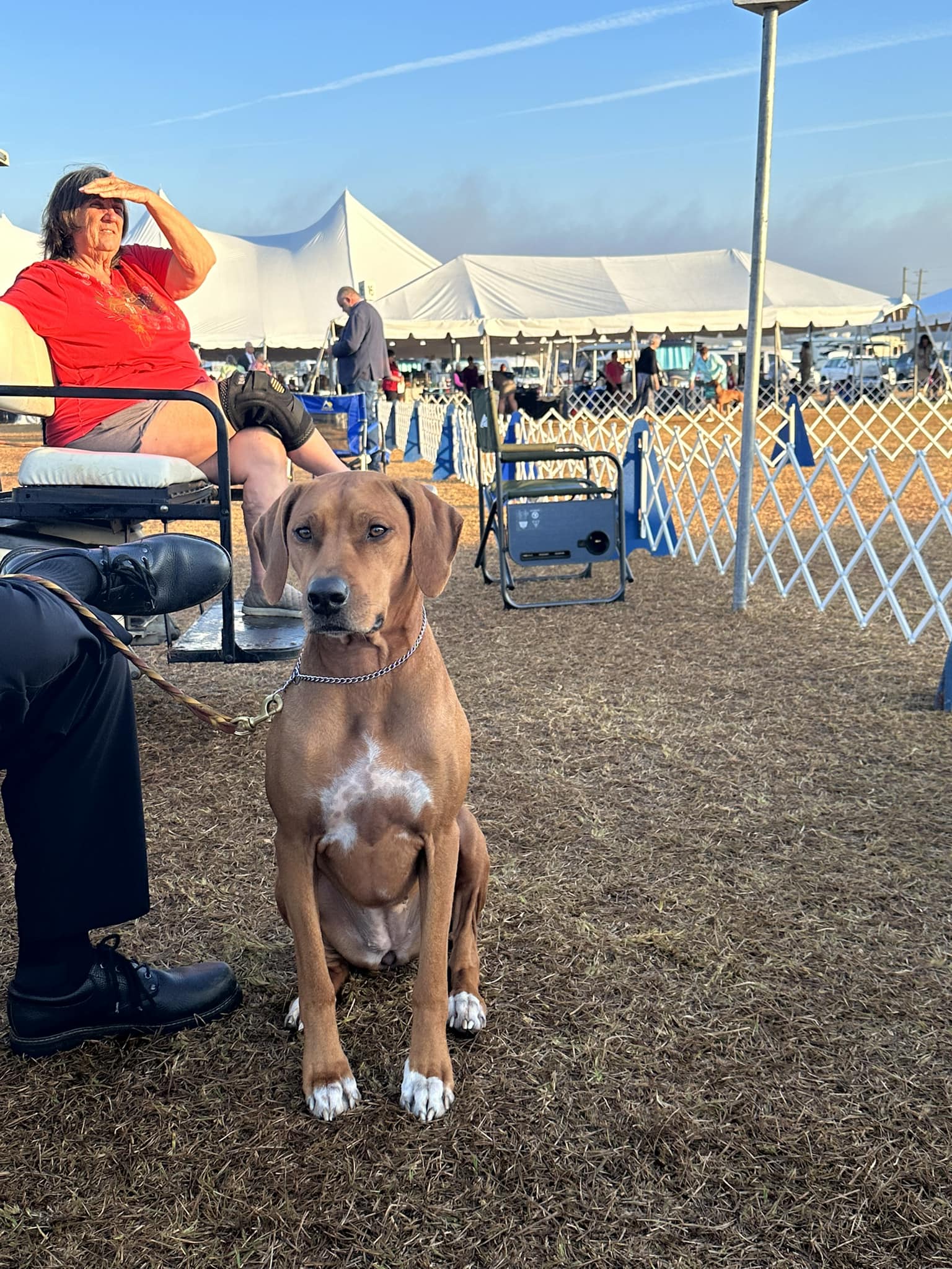 Bindura Rhodesian Ridgebacks - 2023 News