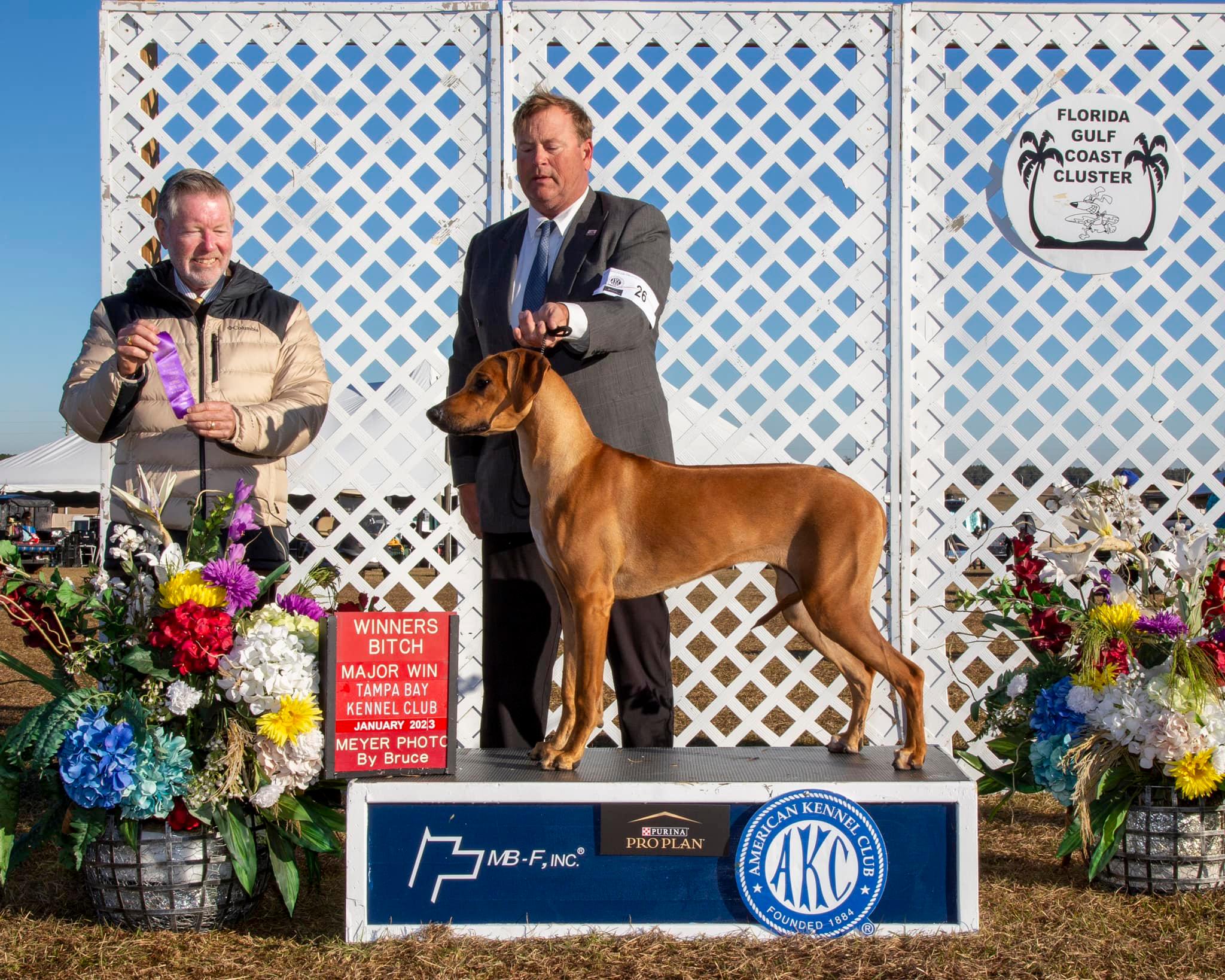 Bindura Rhodesian Ridgebacks - 2023 News