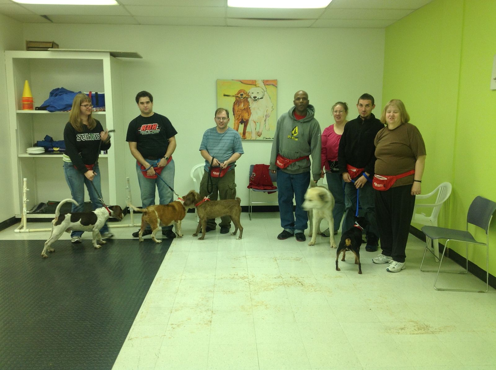 Black Dog K9 Training and Pet Services - Special Programs of Interest