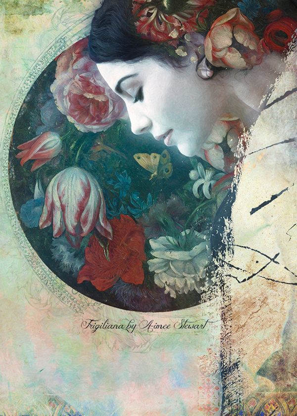 Home [aimeestewart.com]