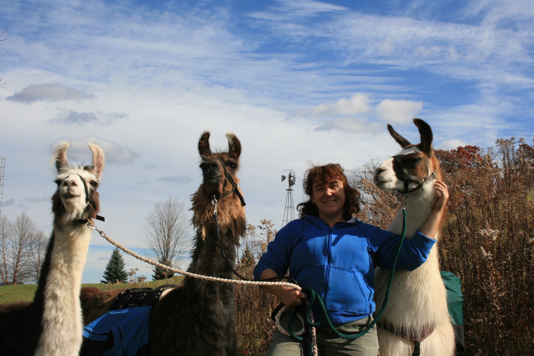Midwest Llama Packing - Llama Packing Pictures