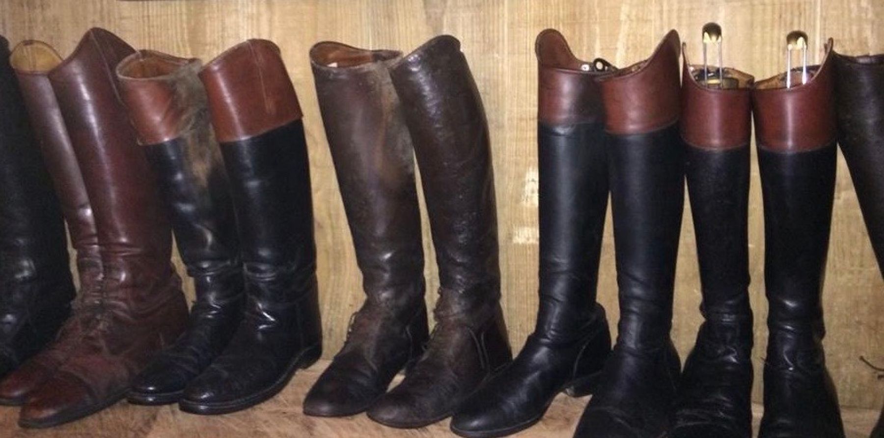 The Fox Hunting Horse - Tack