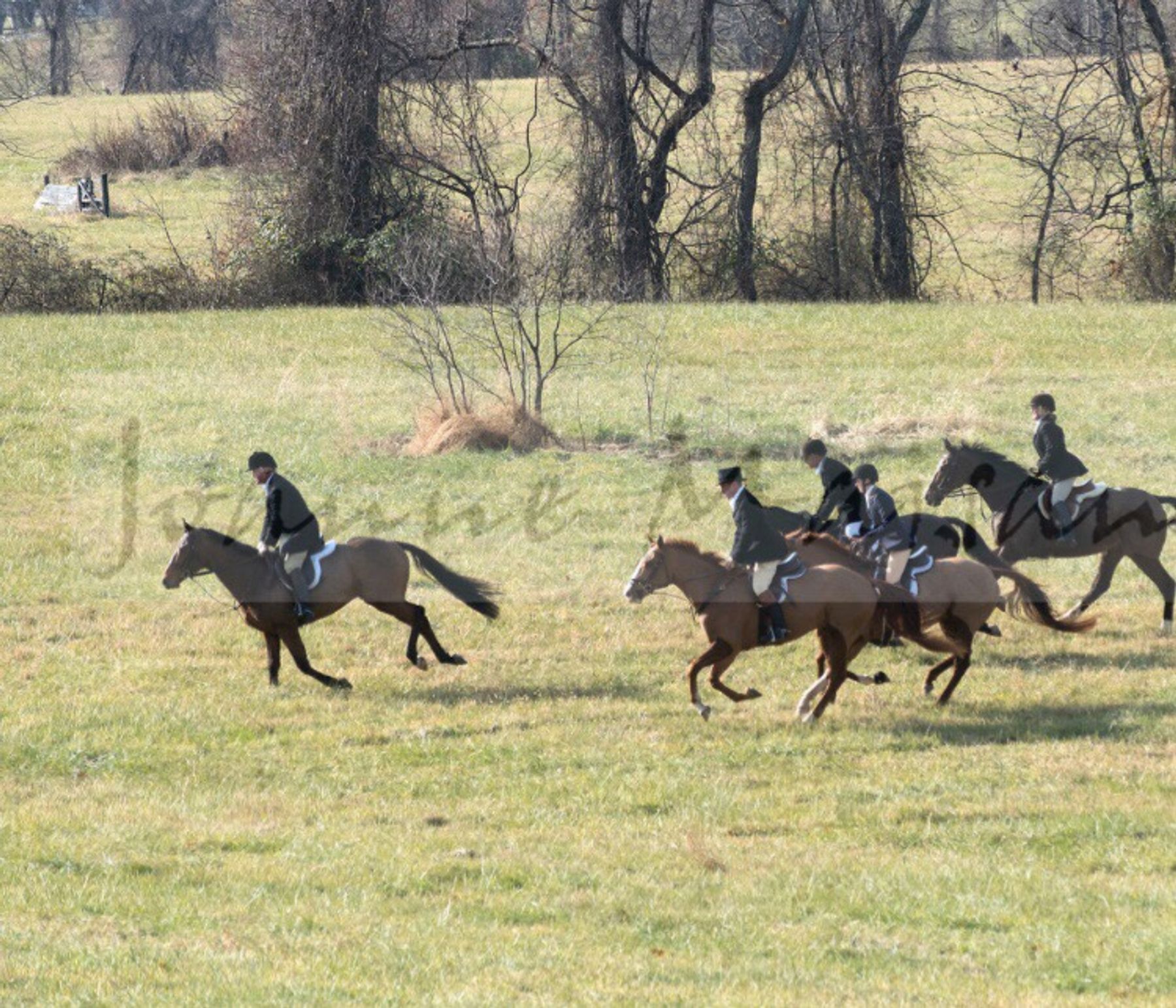 The Fox Hunting Horse - Foxhunting Memorablia