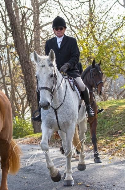 The Fox Hunting Horse - First Flight