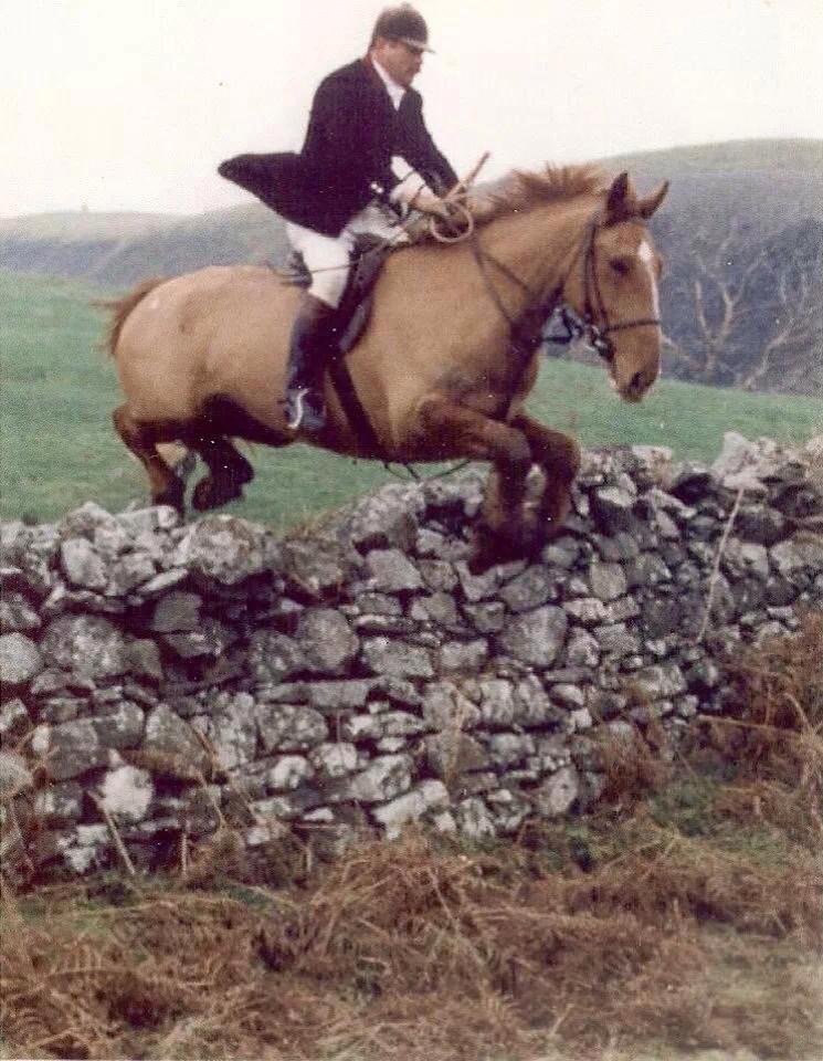 The Fox Hunting Horse