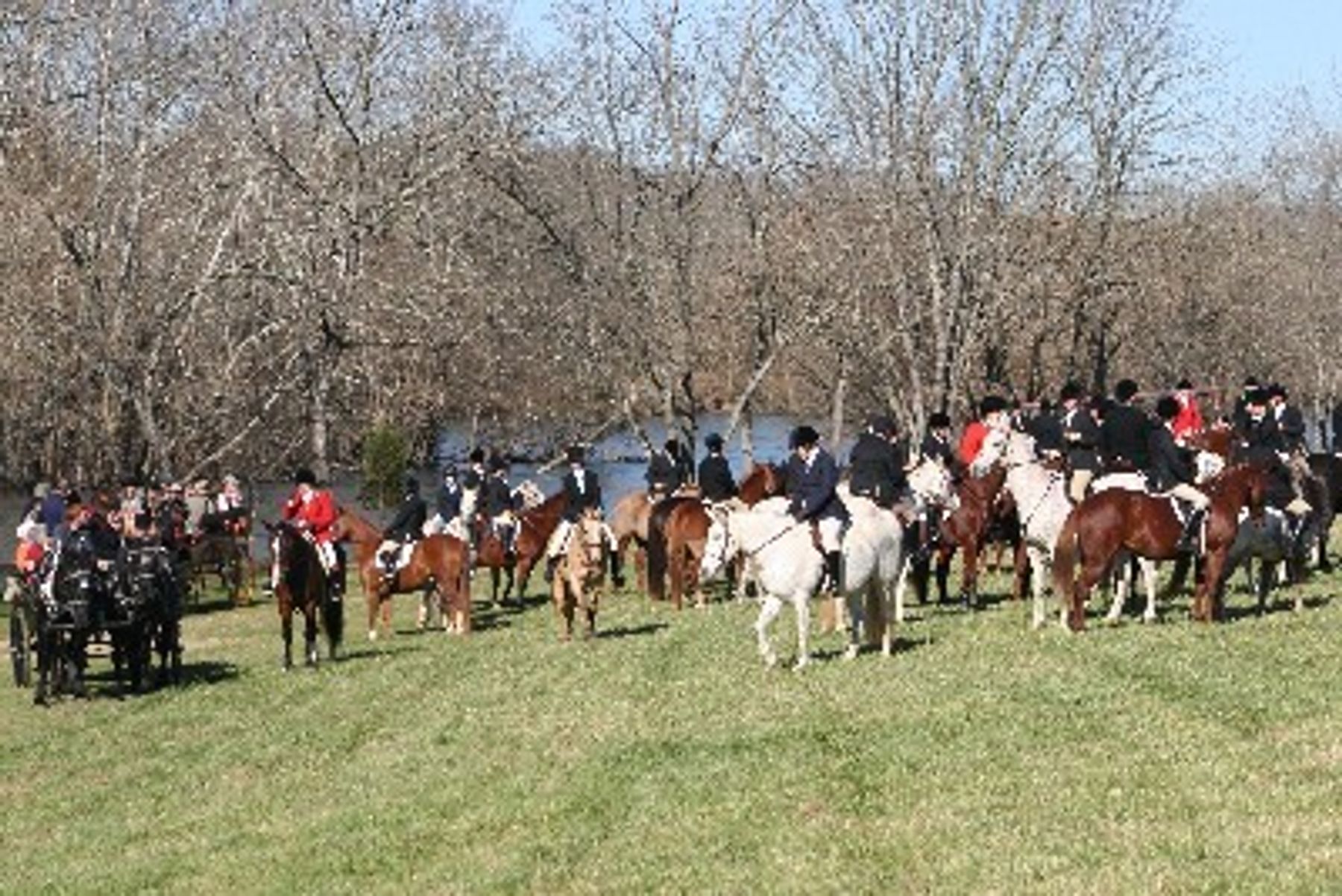 The Fox Hunting Horse - Field Master's Horse