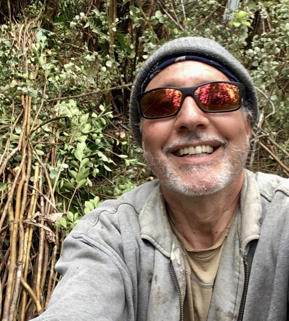 David Elias Music Store - DSD Masters