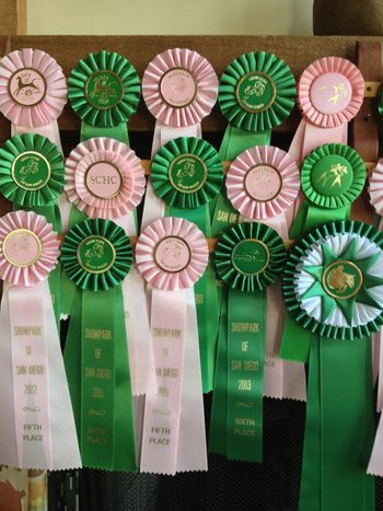 The Original Ribbon Rack