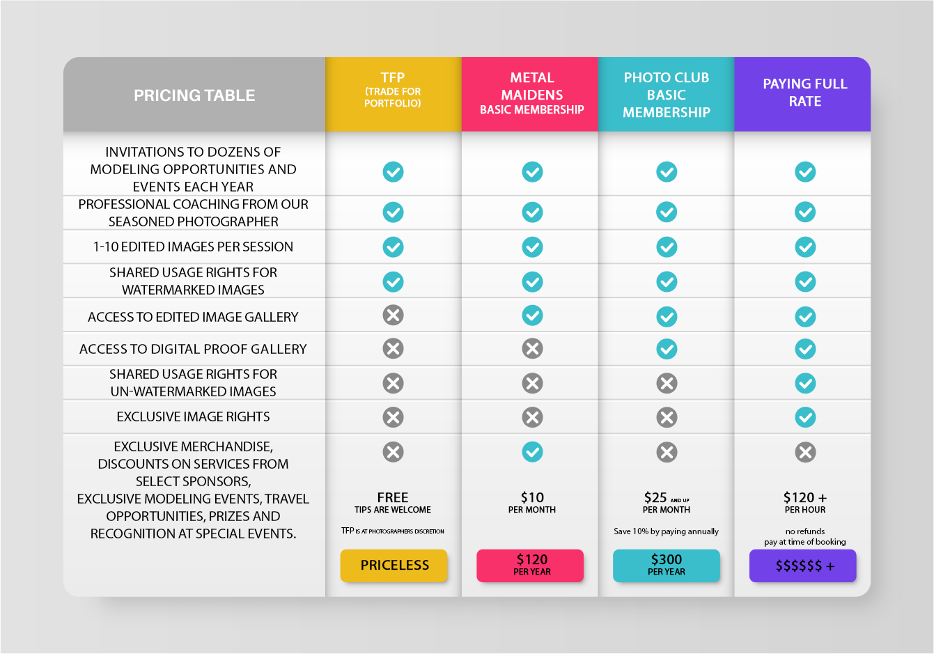 Amy Asche Artist - Credentials