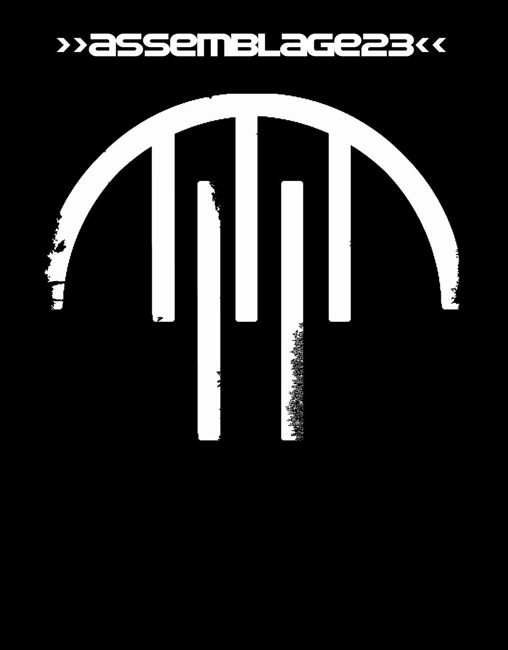 Assemblage 23