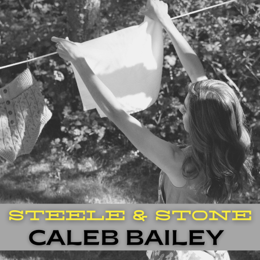 New Single: "Steele and Stone"