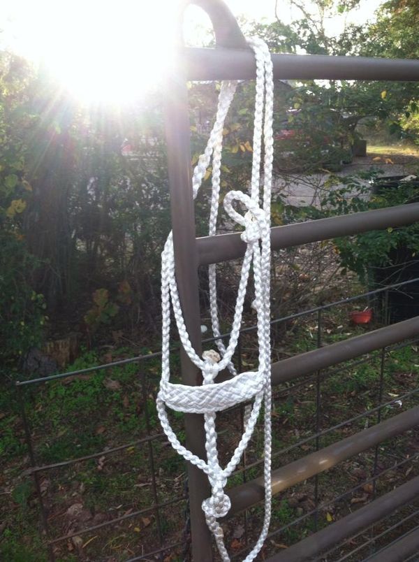 Diamond Bar E Braided Mule Tape Halters and Tack - Handmade Halters And ...