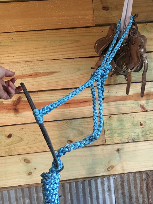 Diamond Bar E Braided Mule Tape Halters and Tack - Handmade Halters And ...