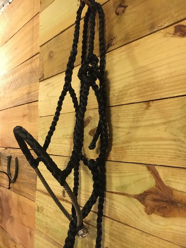 Diamond Bar E Braided Mule Tape Halters and Tack - Handmade Halters And ...